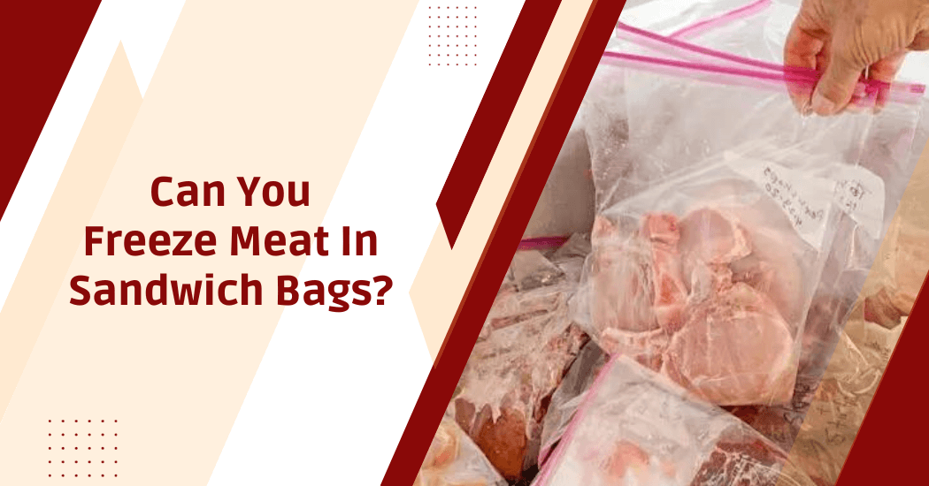 Can You Freeze Meat In Sandwich Bags? 6 Steps To Store